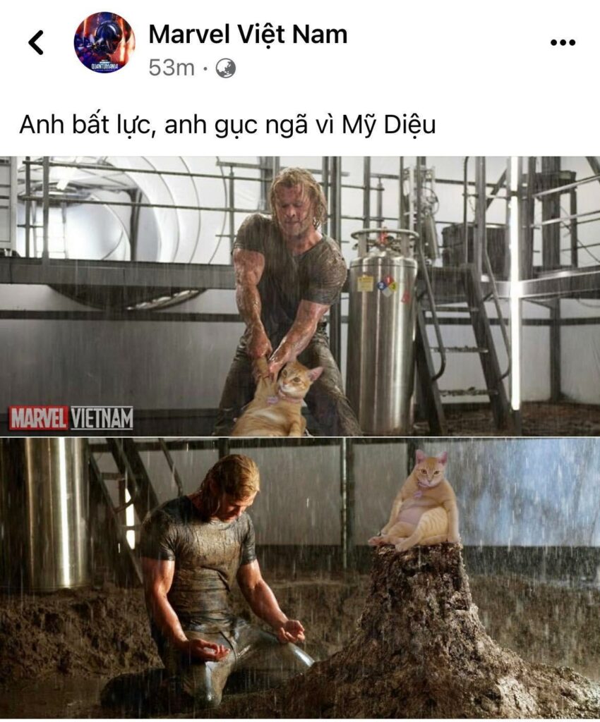 Giải mã Trend-Z: Mèo Mỹ Diệu là gì mà thấy hoài? | TECHIE.VN