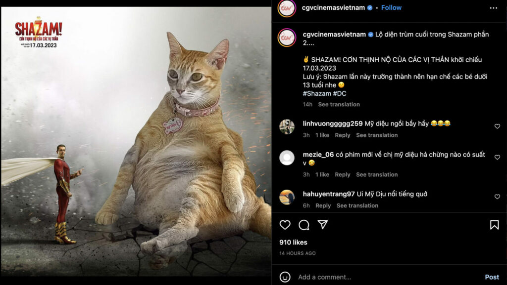 Giải mã Trend-Z: Mèo Mỹ Diệu là gì mà thấy hoài? | TECHIE.VN