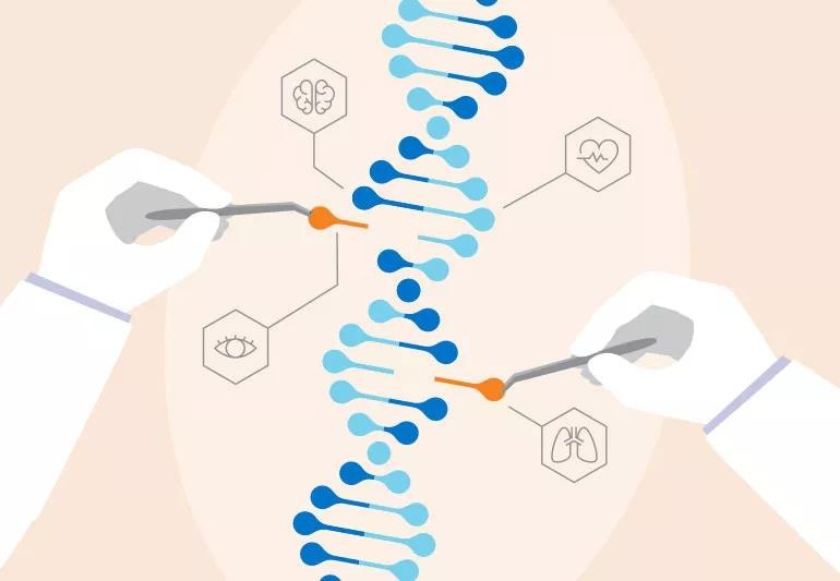 Công cụ chỉnh sửa gene có thể hỗ trợ thế giới đối phó với biến đổi khí ...